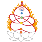 Yoga Teacher Training Courses in India - Yoga Vini Rishikesh