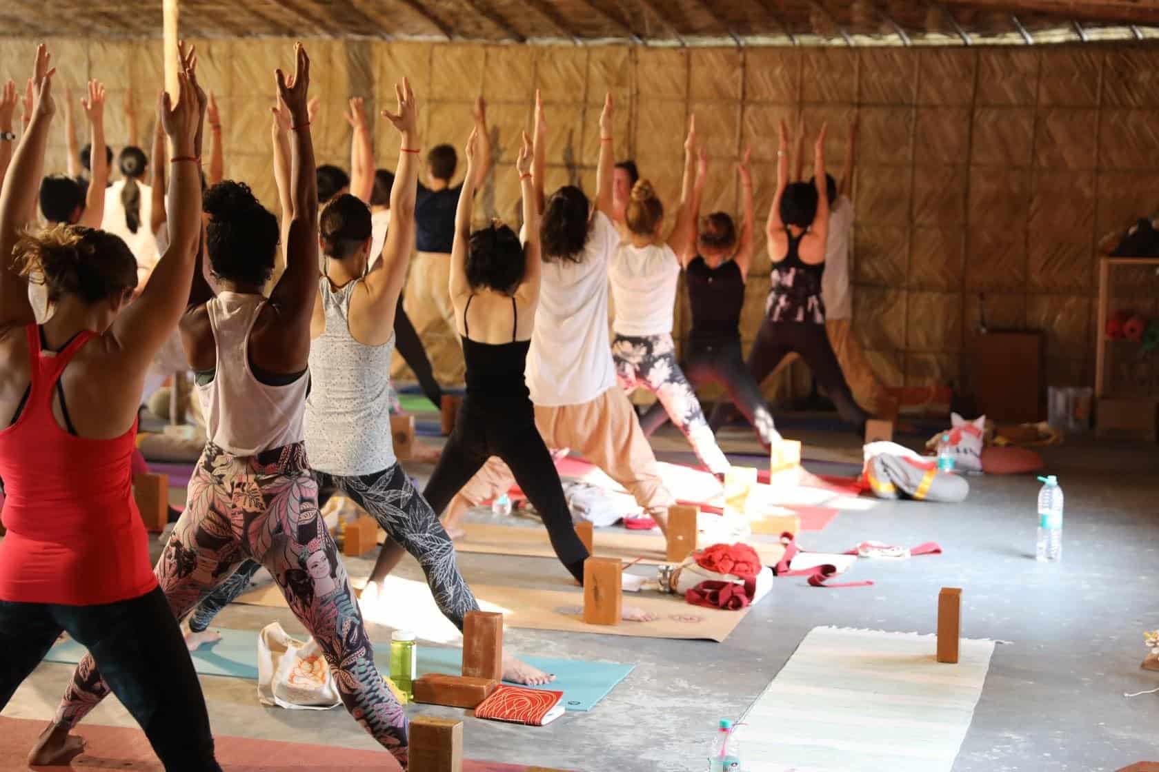 Yoga Teacher Training Courses in Rishikesh - Yoga Vini